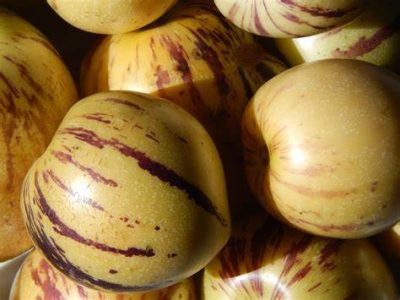 10 Delicious Recipes Featuring Pepino Melon - Pepino Plants